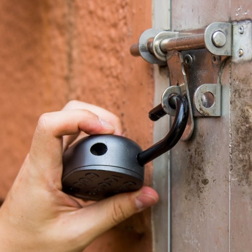 igloohome Padlock: Secure Smart Padlock